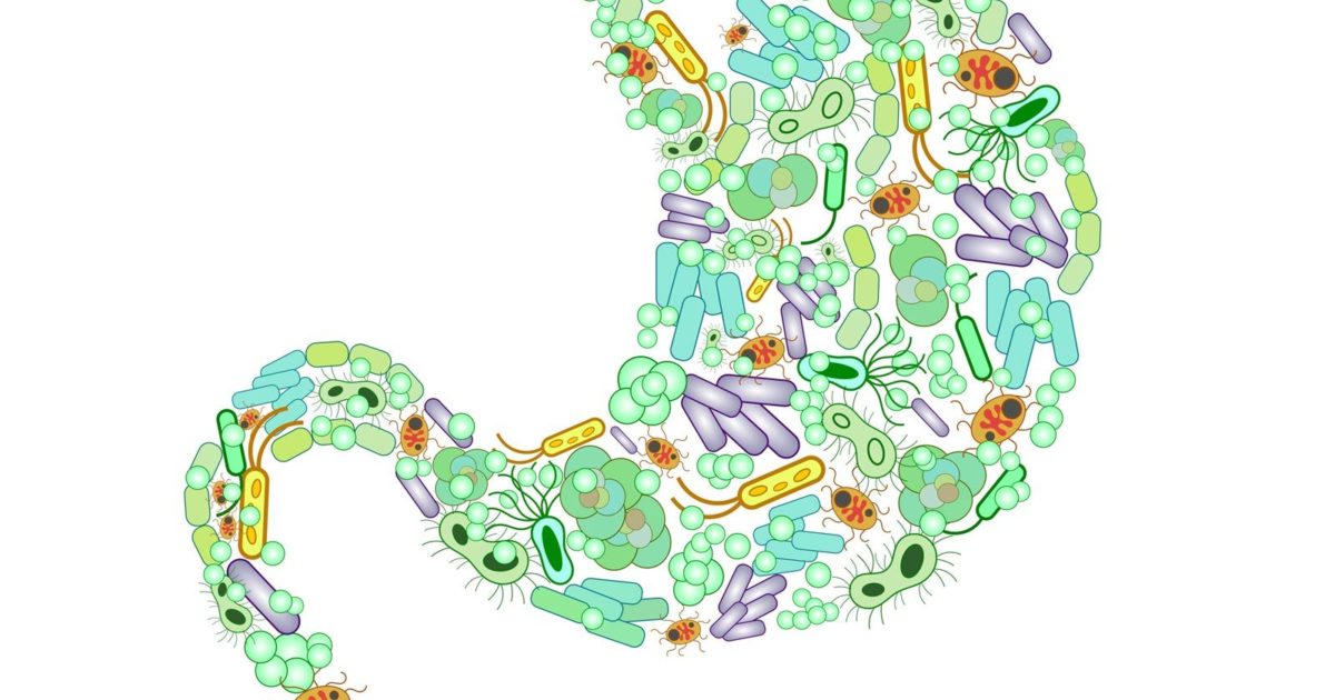 What is a microbiome? | No Money No Time